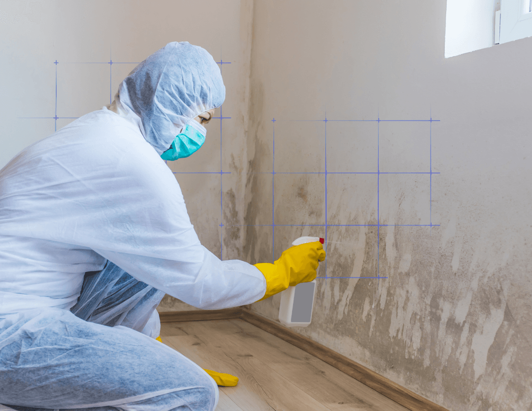 Training & Translations App for Restoration Field Staff